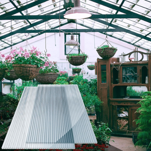 Everything You Need to Know About Clear Greenhouse Panels and ...