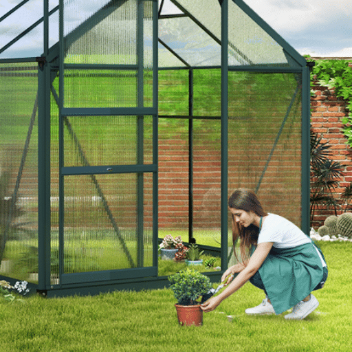 Choosing the Right Polycarbonate Greenhouse Panels for Your Outdoor ...